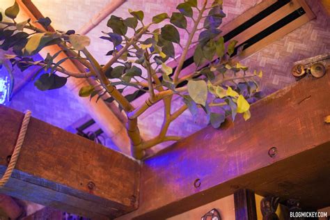 Trader Sams Grog Grotto Reopens With Shrunken Zombie Head Props
