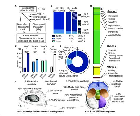 Characteristics Of The Two Year Ou Health Meningioma Cohort A Download Scientific Diagram