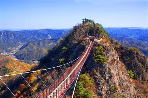 이곳이 비밀의 다리 보기만 해도 짜릿한 출렁다리 명소 2곳 여행한조각