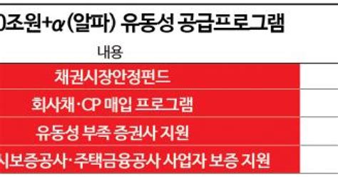 돈맥경화 정부 50조원α 수혈금융권 추가 대책 더 필요