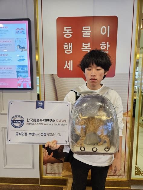 코리안숏헤어 나비 말티즈분양가격 말티푸분양가격 비숑프리제분양가격 미니비숑프리제분양가격 포메라니안분양가격 푸들분양가격 토이푸들분양가격 골든리트리버분양가격 래브라도리트리버분양