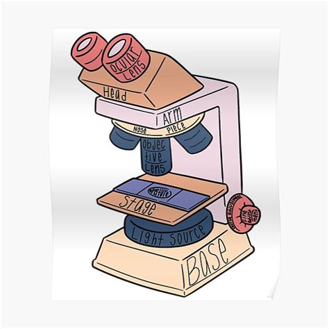 Labeled Microscope Poster For Sale By Katherinewinner Redbubble