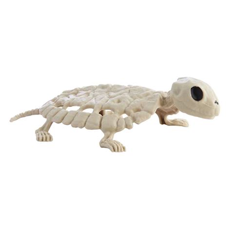 Skeleton Turtle Halloween Decor At Home