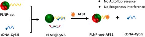 Ratiometric Luminescence Aptasensor Based On Dual Emissive Persistent Luminescent Nanoparticles