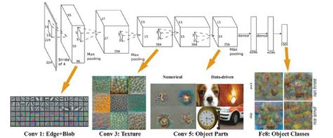 08 Deep Learning 1 합성곱 신경망convolutional Neural Network Cnn Yerim Oh