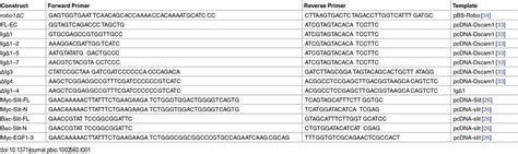 Pcr Primers Used For Dna Constructs Download Table