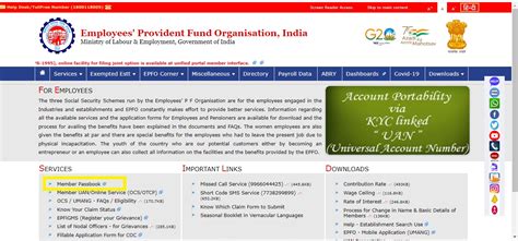 How To Check Your PF Balance In EPFO Portal Jobs You