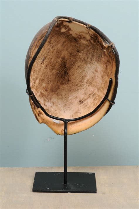 Papua New Guinea Bailor Shell Breast Plate At 1stdibs