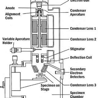 Figure 14 Different Dissolution Apparatus As Per USP A The Paddle Over Disc USP Apparatus V