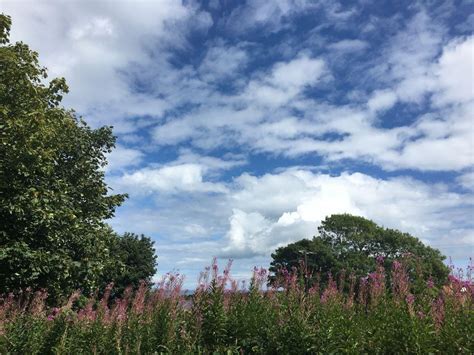 조지루시 가열식 가습기 3l 구축아파트에서 사용하기란 글쎄요