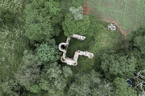 Premium Photo High Angle View Of Human Representation On Tree