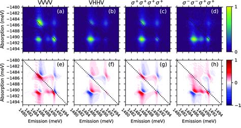 Polarization Dependent Two Dimensional Spectra For A Single Qw Embedded