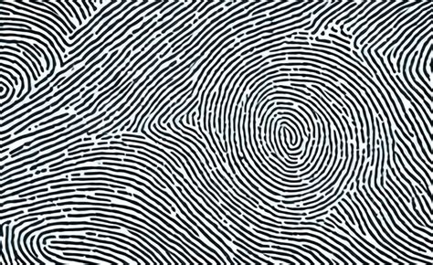 Which Fingerprint Is The Rarest Gpaumier