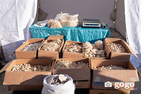 Ааруул 25 40 мянга хэвийн боов 4500 7000 төгрөгийн үнэтэй байна