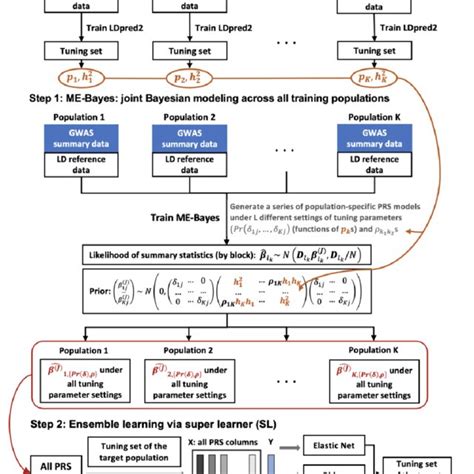 Me Bayes Sl Workflow [step 0] Apply Ldpred2 To Each Of The K Training Download Scientific