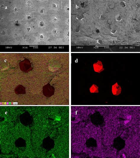 Microstructure Of The Segment With 3d Lattice Of Diamond Grits A Download Scientific Diagram