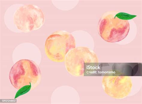 수채화 스타일의 과일의 맛있어 보이는 복숭아의 그래픽 이음새가 없는 패턴 일러스트 레이 션 0명에 대한 스톡 벡터 아트 및 기타 이미지 0명 과일 구 Istock