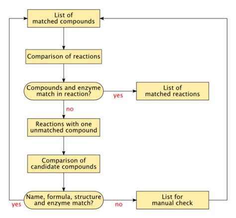 Steps Of The Network Reconstruction Process Download Scientific Diagram