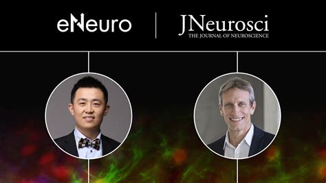 Total Sleep Deprivation Increases Brain Age Prediction Reversibly In Multi Site Samples Of Young