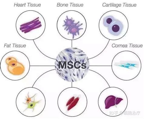 亚健康席卷全球，中国年轻人如何走出健康困境？ 知乎