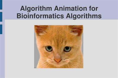 Ppt Algorithm Animation For Bioinformatics Algorithms Powerpoint
