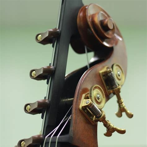 C Extensions Joey Naeger Basses