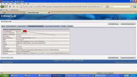 Oracle Tips Oaf Version And Setup
