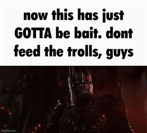 Tw Bait Devon TW S Bait And Tackle