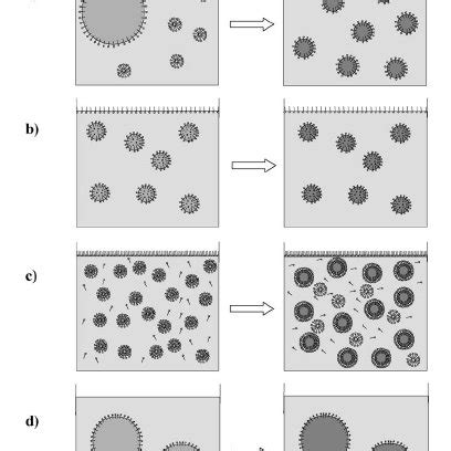 Process Of The Polymerization Download Scientific Diagram