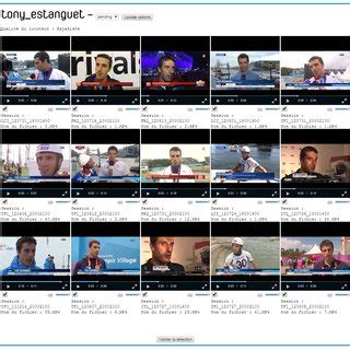 Web Interface For The Verification Of The Automatically Collected Download Scientific Diagram