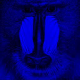 Splitting Of An Rgb Image To R G B Using Opencv Python Stack Overflow