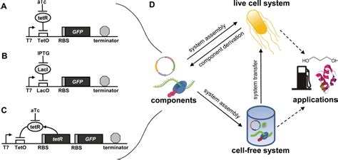 Genetic Components Characterized And Role Of Cell Free Systems In Download Scientific Diagram