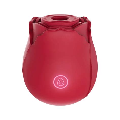 Usb磁性充电玫瑰红硅胶性玩具阴蒂振动器，女性舔舌设计 Buy 2 In 1 Rose Suction Vibrator Sucking