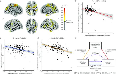 Mediation Analysis Of Associations Between Cholinergic Basal Forebrain Download Scientific
