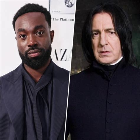 Harry Potter Hbo Show Full Cast Guide