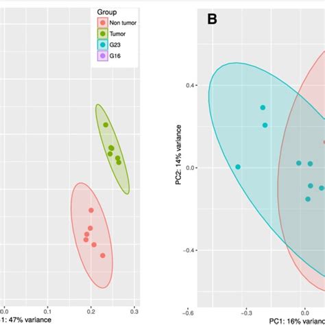 Principal Component Analyses Pca The First Two Principal Components