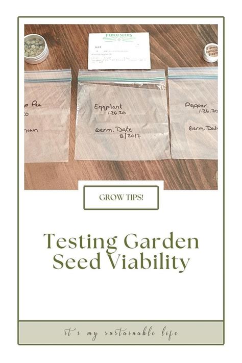 Three Bags Filled With Seeds Sitting On Top Of A Wooden Table Next To Each Other