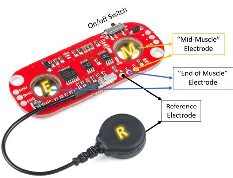 Masculinidad Dictadura Tipo Delantero Myoware Muscle Sensor Arduino Code Servo Contar