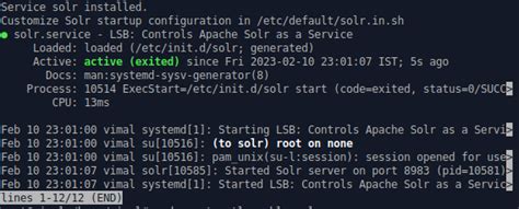 Dspace Geek Install DSpace 8 On Ubuntu 24 04 LTS