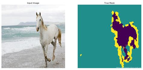 Tensorflow2 Unet加载自己的图像进行训练tensorflow2 Labelme Csdn博客