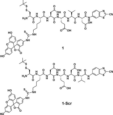 Multifunctional Fluorescent Probe For Sequential Detections Of Glutathione And Caspase 3 In