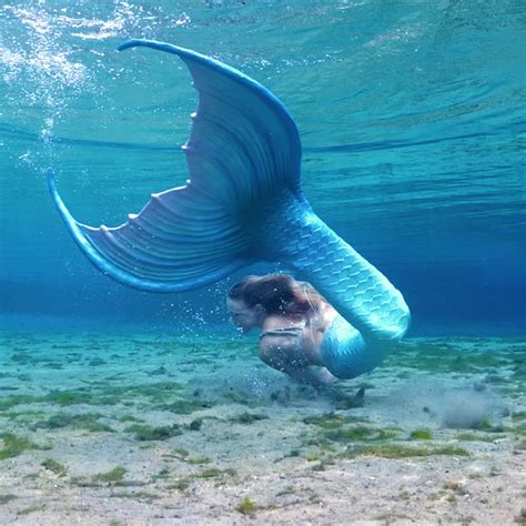 About Professional Mermaid Nina The Mermaid Of Hilton Head
