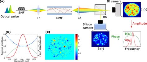 A Experimental Realization Of The Measurement Scheme At The Input Download Scientific