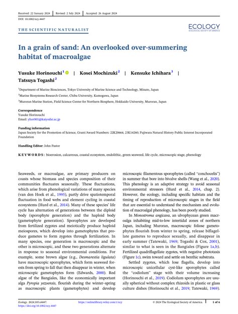 In A Grain Of Sand An Overlooked Over‐summering Habitat Of Macroalgae