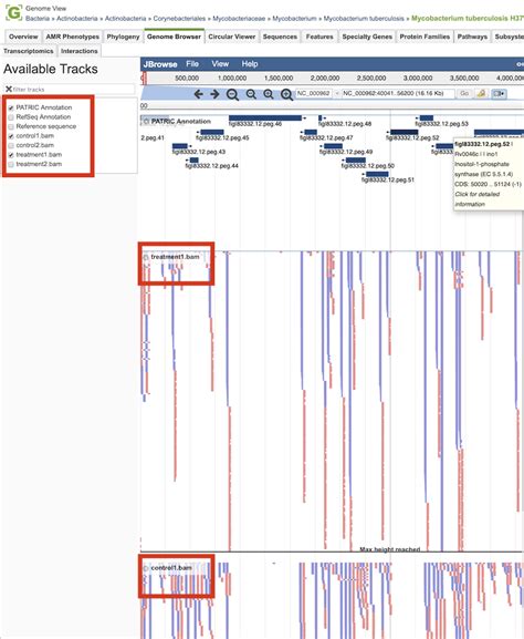 Tn Seq Analysis Service Bv Brc