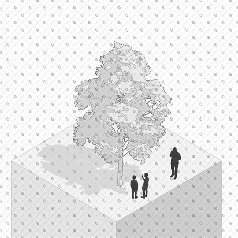Axonometric Cad Trees With Shadows Toffu Co