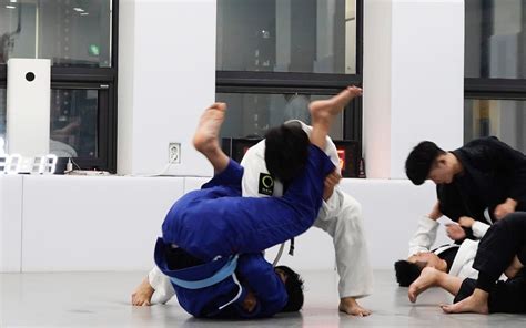 동성로주짓수 동성로주짓수는 생활체육인 중심의 체육시설이에요 오래 함께 주짓수와 킥복싱을 수련할 좋은