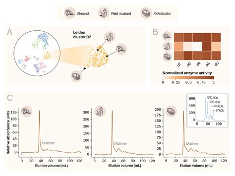 Structure Based Protein Clustering Sometimes But Not Always Provides Insight Into Protein