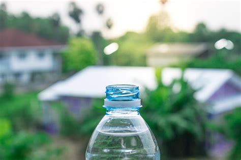 하늘과 나무 흐린 배경에 플라스틱 만든 병 물 벽지를 사용 하 여 패키지 또는 이미지 및 복사 공간을 새로 고침 제품 0명에 대한 스톡 사진 및 기타 이미지 Istock