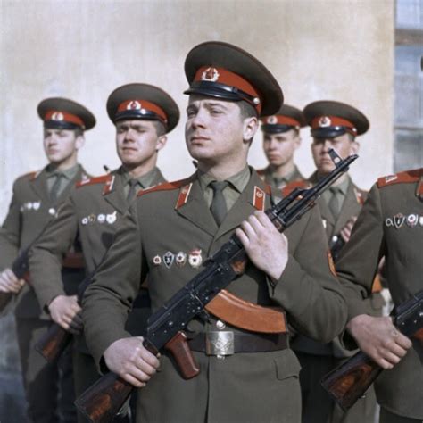 Mrshorts Tut Youtube